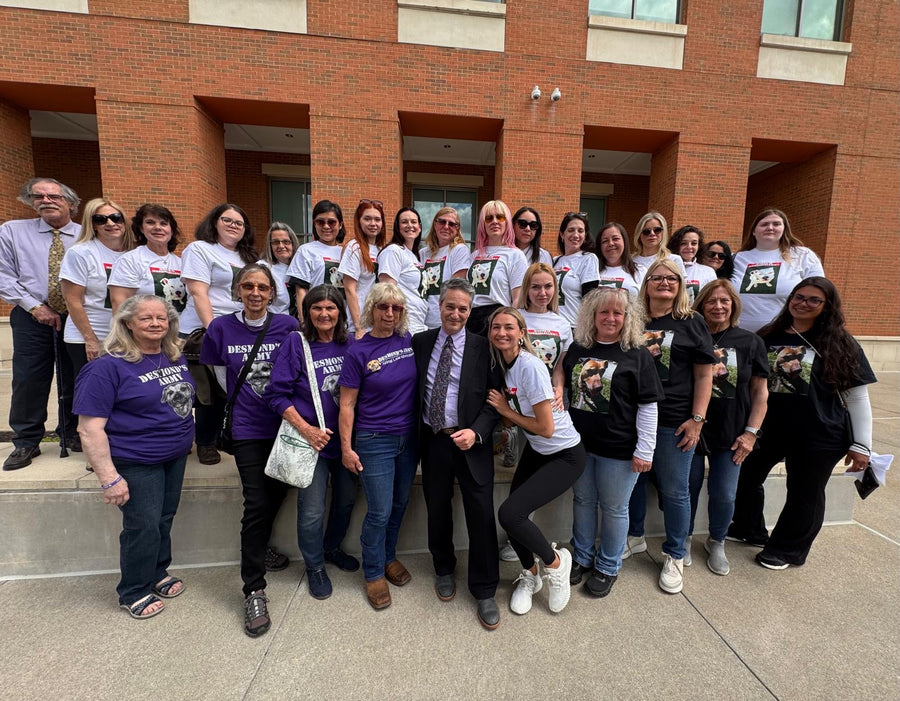 Shop to Save Animals | AMA Animal Rescue Official Store