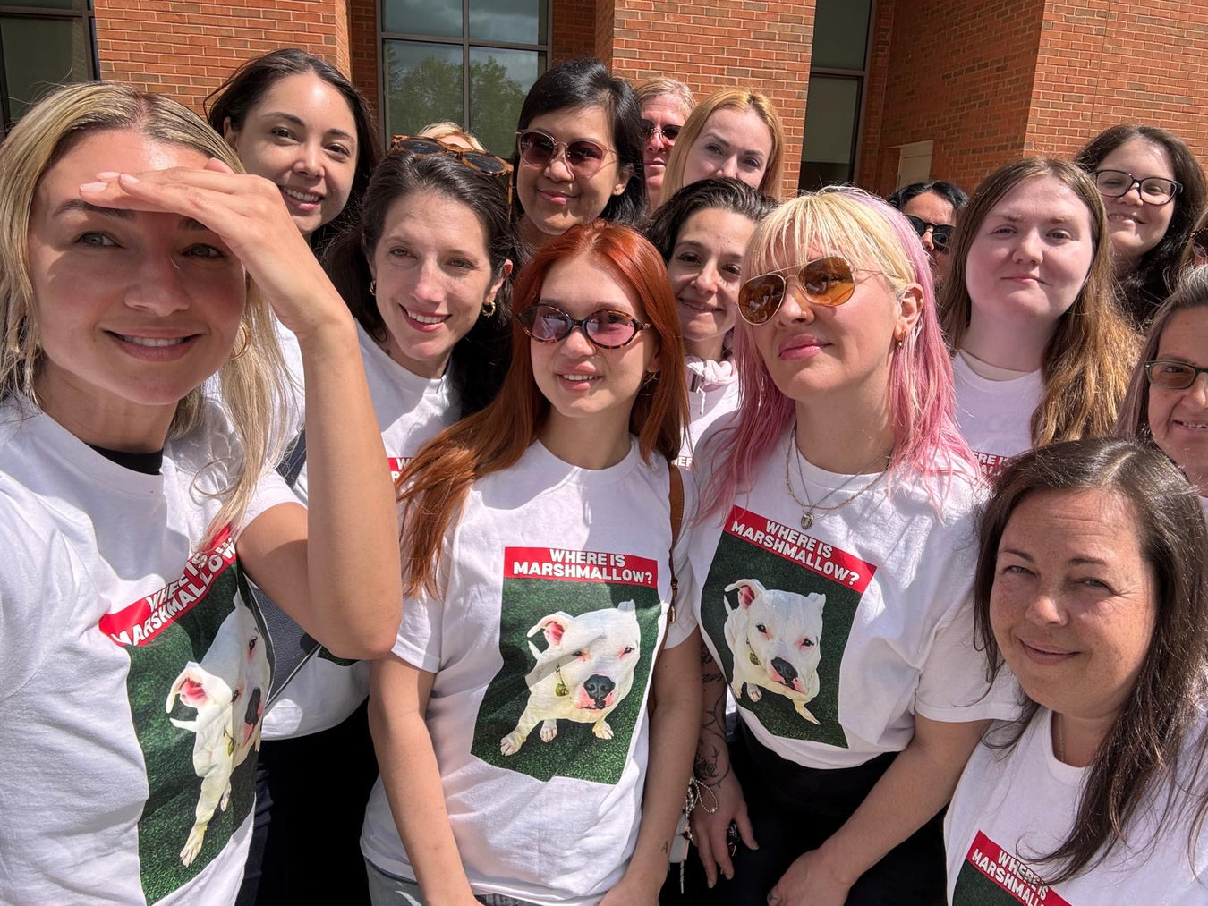 Shop to Save Animals | AMA Animal Rescue Official Store