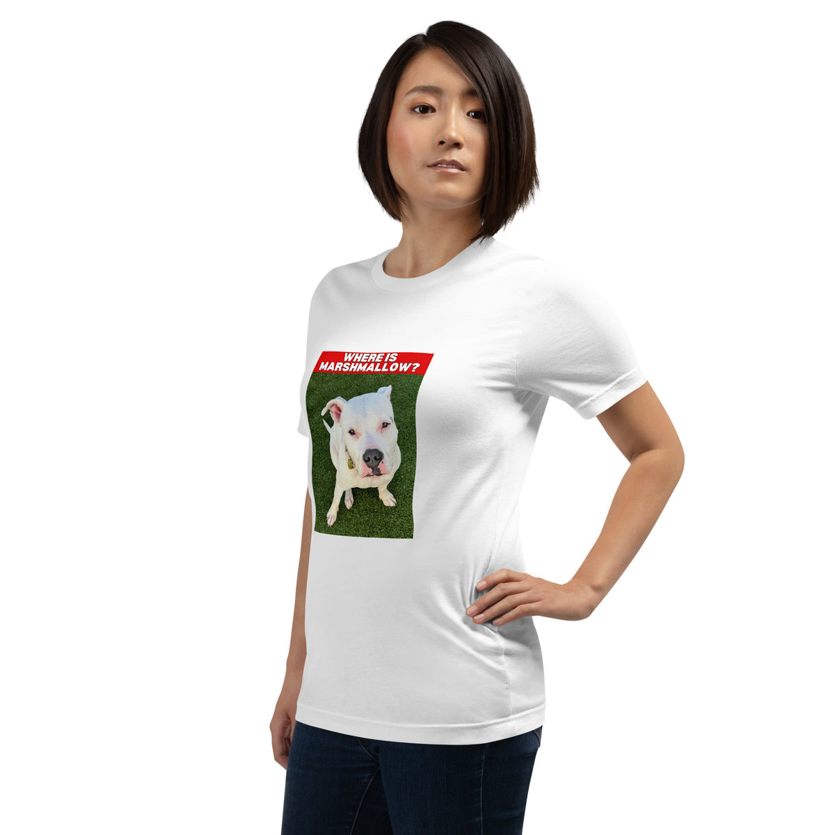 Shop to Save Animals | AMA Animal Rescue Official Store